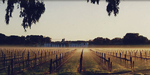 Bleasdale and its visionary founder, Frank Potts – The Real Review