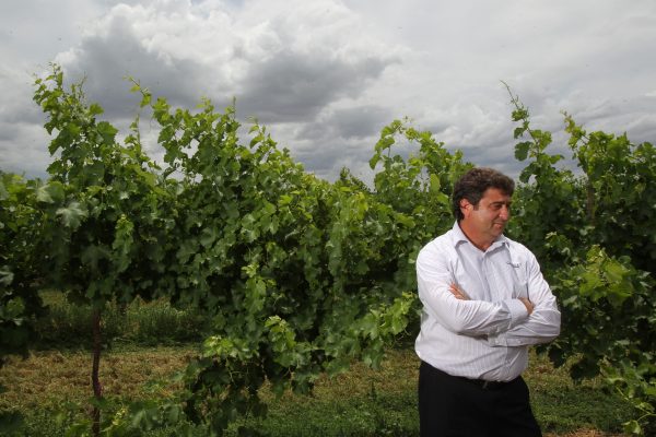 How John Casella got his big break – The Real Review