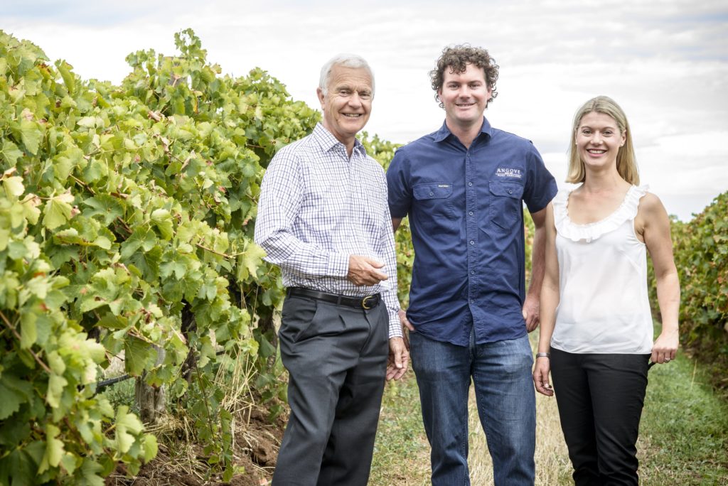 Angove finds its groove – The Real Review