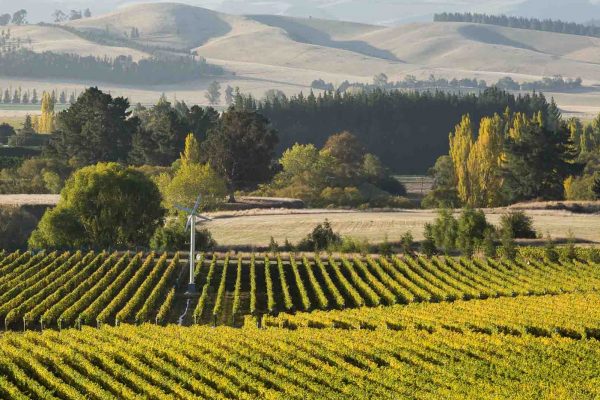 Waipara changes its name – The Real Review