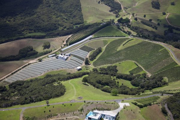 Destiny Bay delights – The Real Review