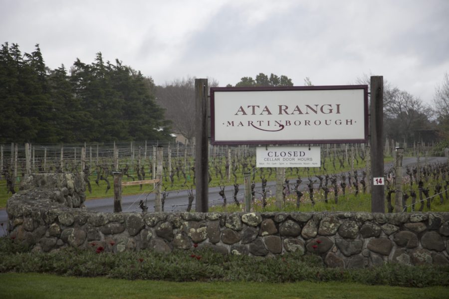 Budget buys from top makers – The Real Review