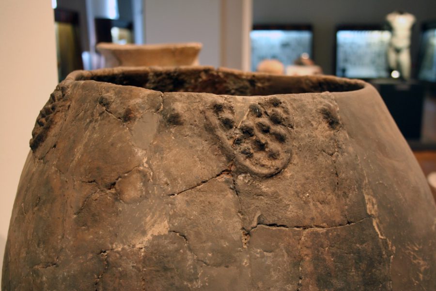 The world’s oldest grapevines just got older – The Real Review