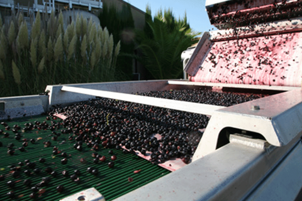 Three good sorts – The Real Review