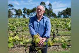 New wine trail guide – The Real Review