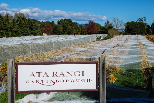 Ata Rangi pinot power – The Real Review
