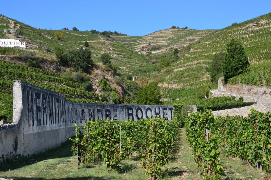 The story of shiraz – The Real Review