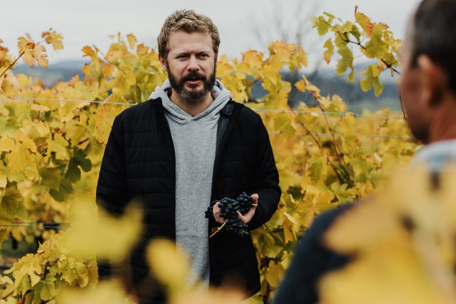 Pinot noir with an edge – The Real Review