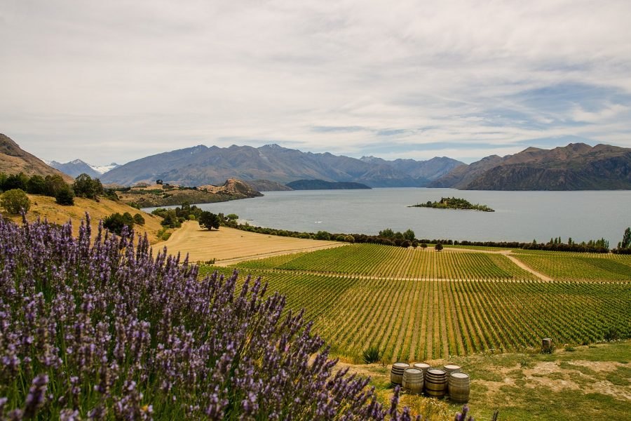 Who’s greenest of them all – The Real Review