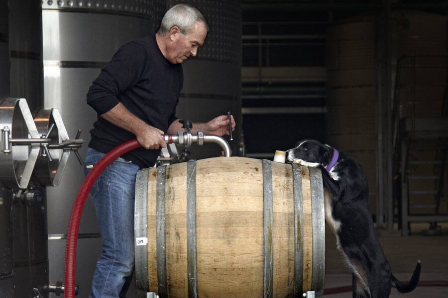 Greywacke textural treats – The Real Review