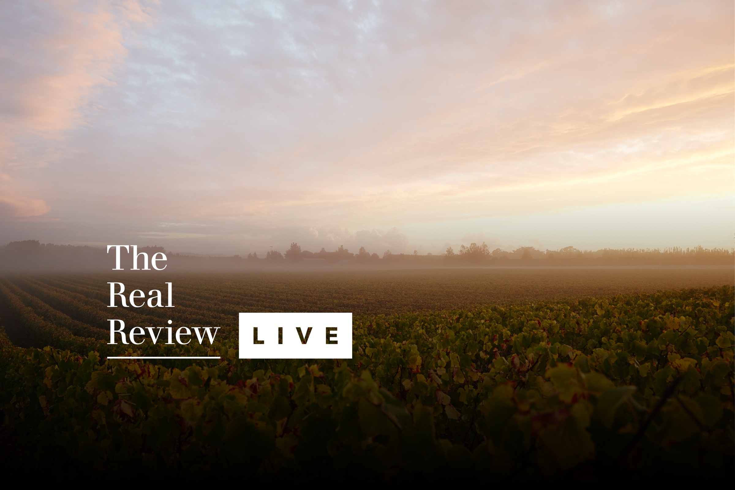 The Real Review LIVE: Top Rank NZ Pinot Noir with Bob Campbell MW – The ...