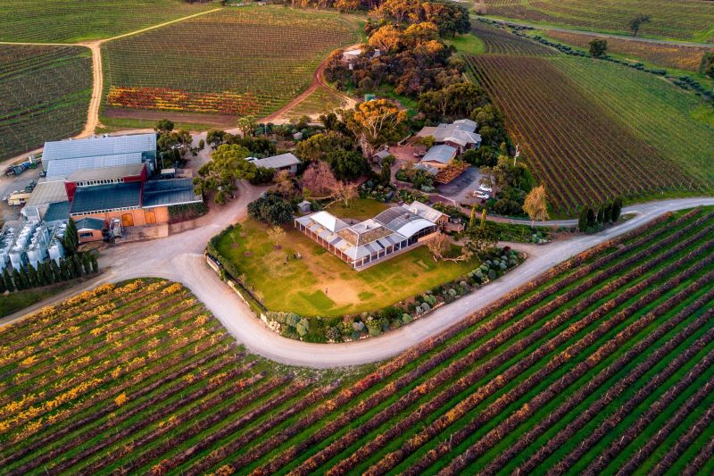 Top Wineries of Australia 2020: Ranks 20 to 17 – The Real Review