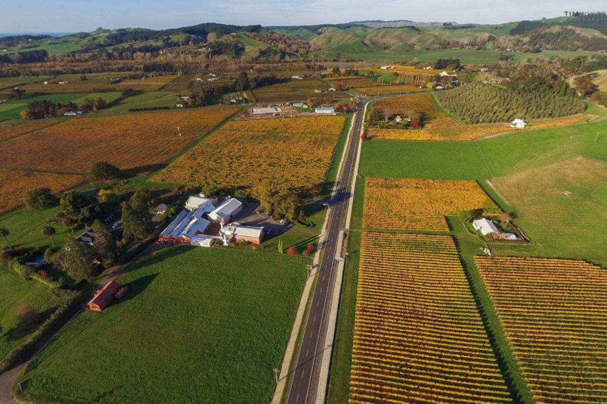 Top Wineries of New Zealand 2020: Ranks 12 to 9 – The Real Review