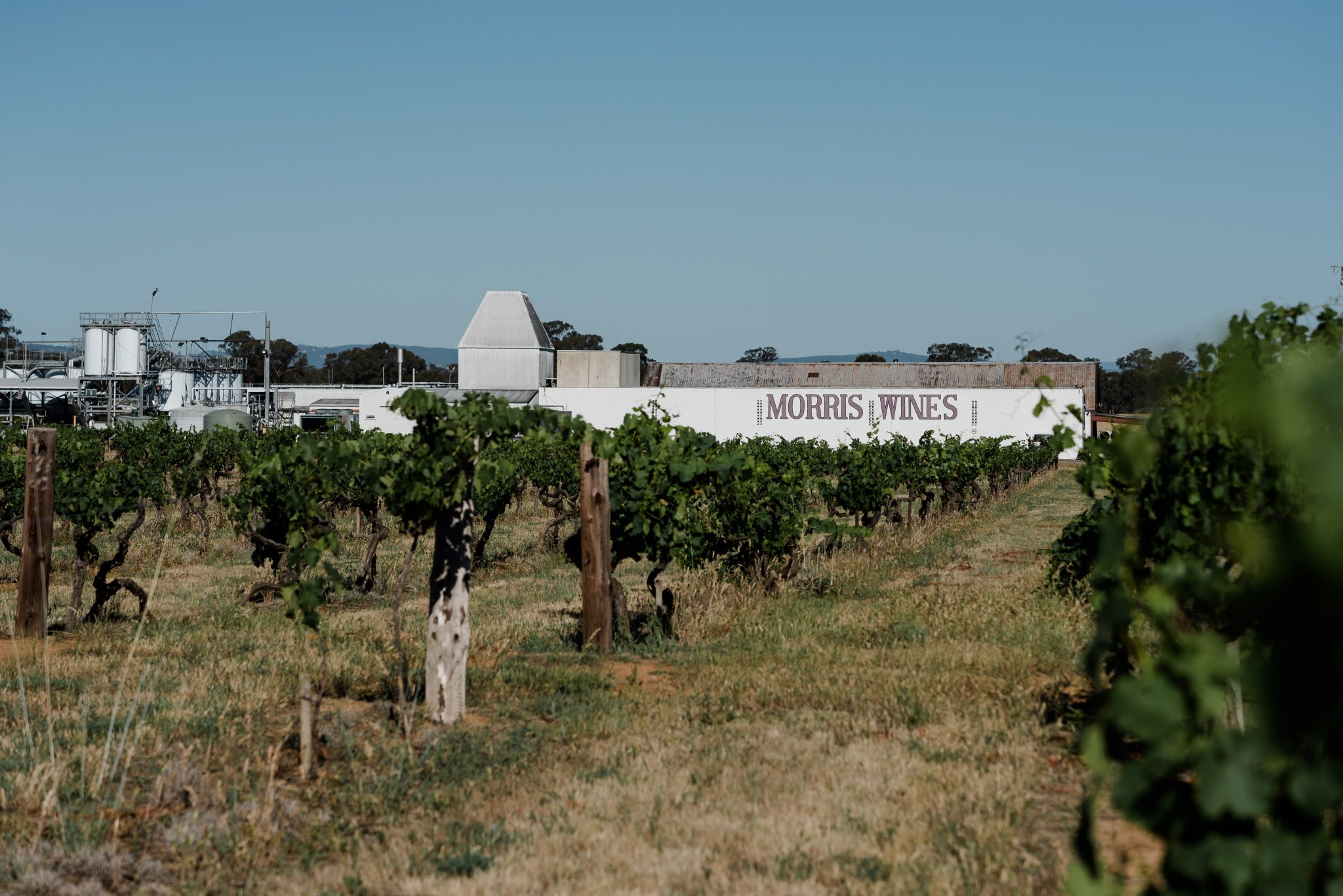 Top Wineries of Australia 2020: Ranks 8 to 5 – The Real Review