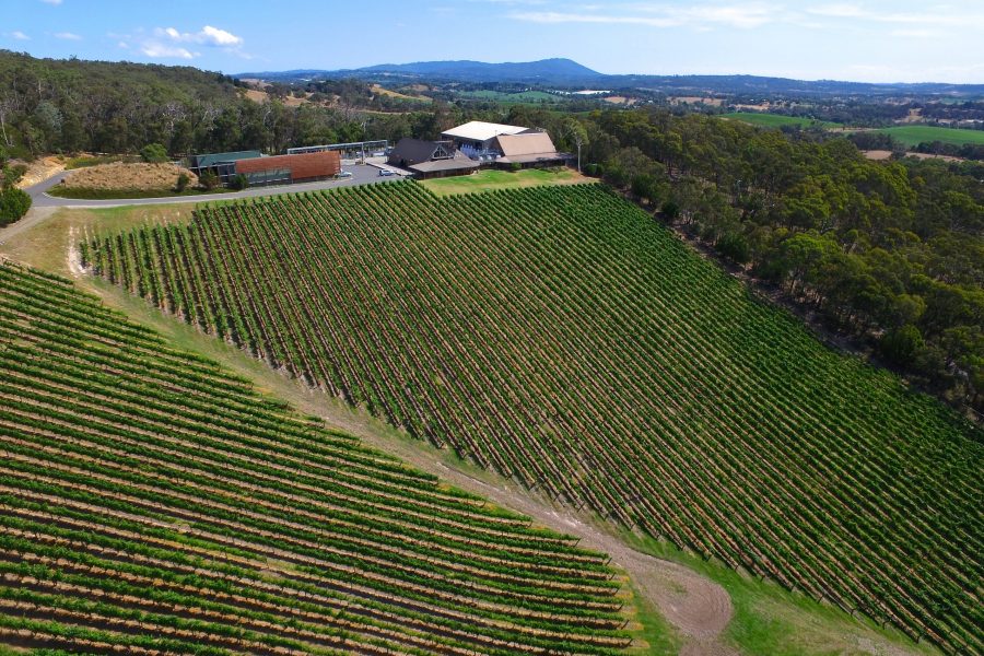 Top Wineries of Australia 2020: Ranks 28 to 25 – The Real Review
