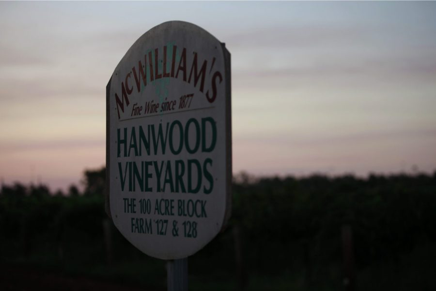 McWilliam’s thrown a lifeline – The Real Review