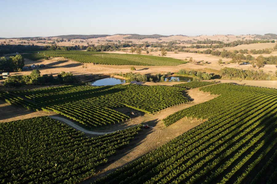 Tumbarumba rises from the ashes – The Real Review
