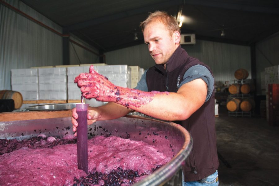 Outstanding Fire Appeal wine for a good cause – The Real Review