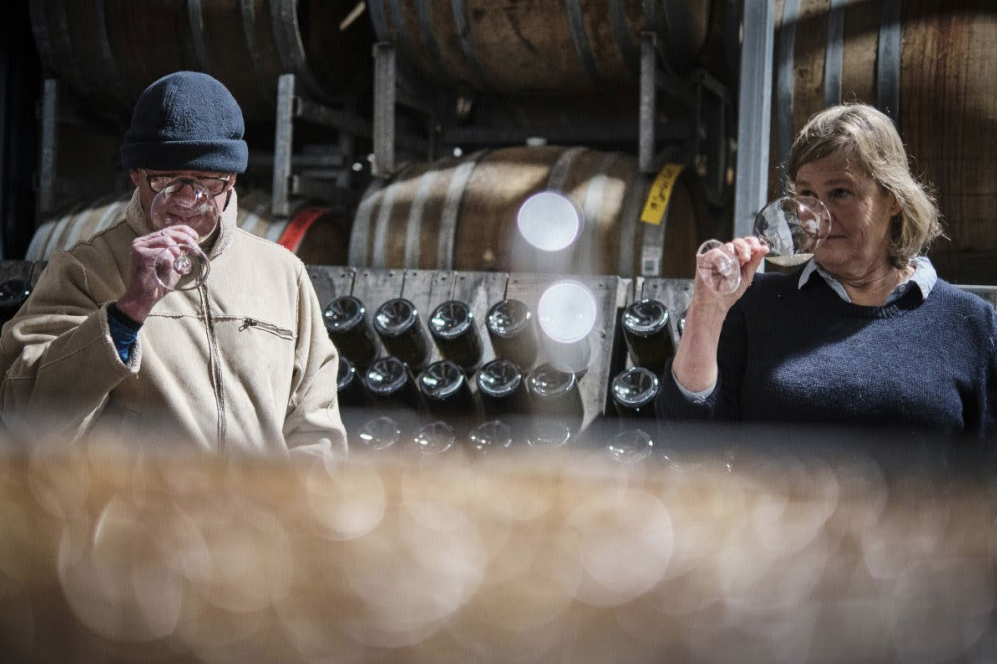 Serious Mornington pinot gris – The Real Review