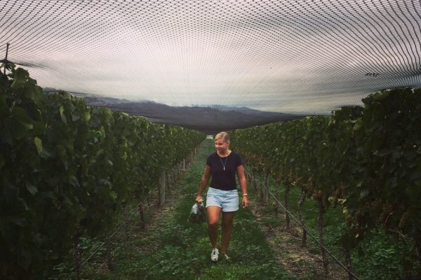 Sarah Adamson of Scout Wines – The Real Review