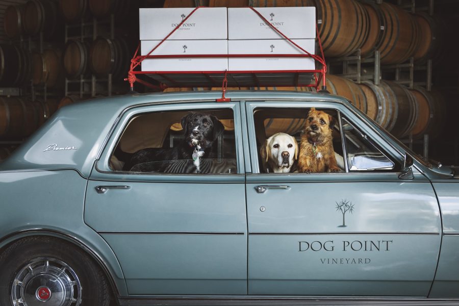 Dog Point’s newly-released puppies – The Real Review