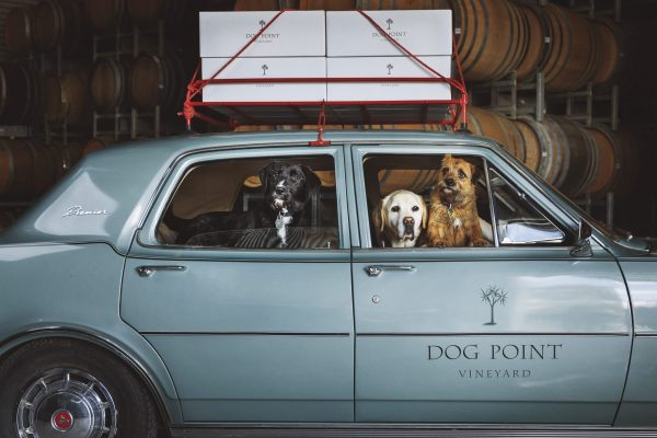 Dog Point’s newly-released puppies – The Real Review