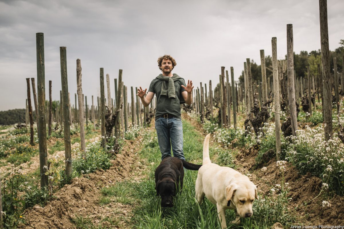 The modern sparklings of Raventós i Blanc – The Real Review