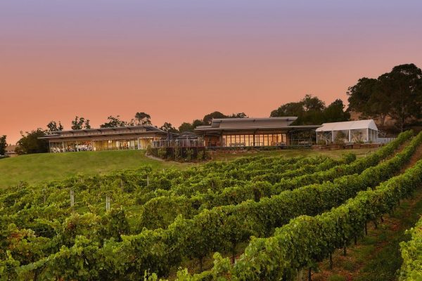 Balgownie in fine form – The Real Review