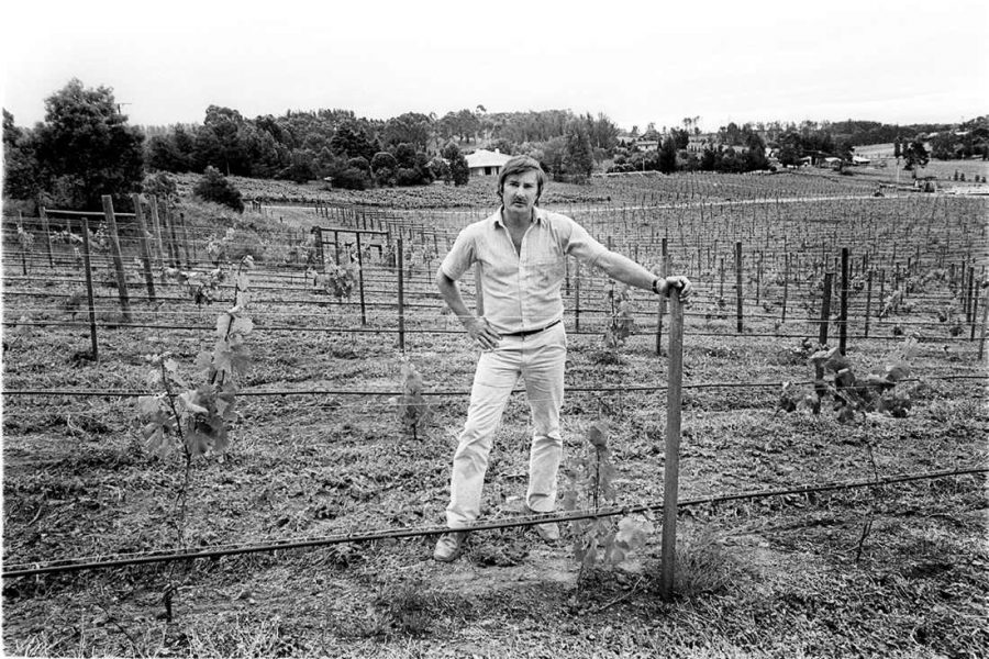 Tiers Vineyard – a chardonnay icon – The Real Review