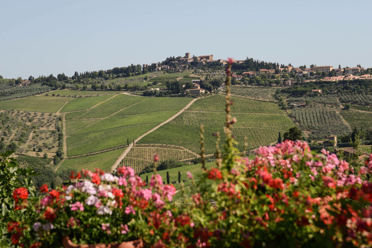 Fontodi’s impressive Chianti Classico range – The Real Review