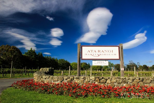 Ata Rangi celebrates 40th anniversary – The Real Review