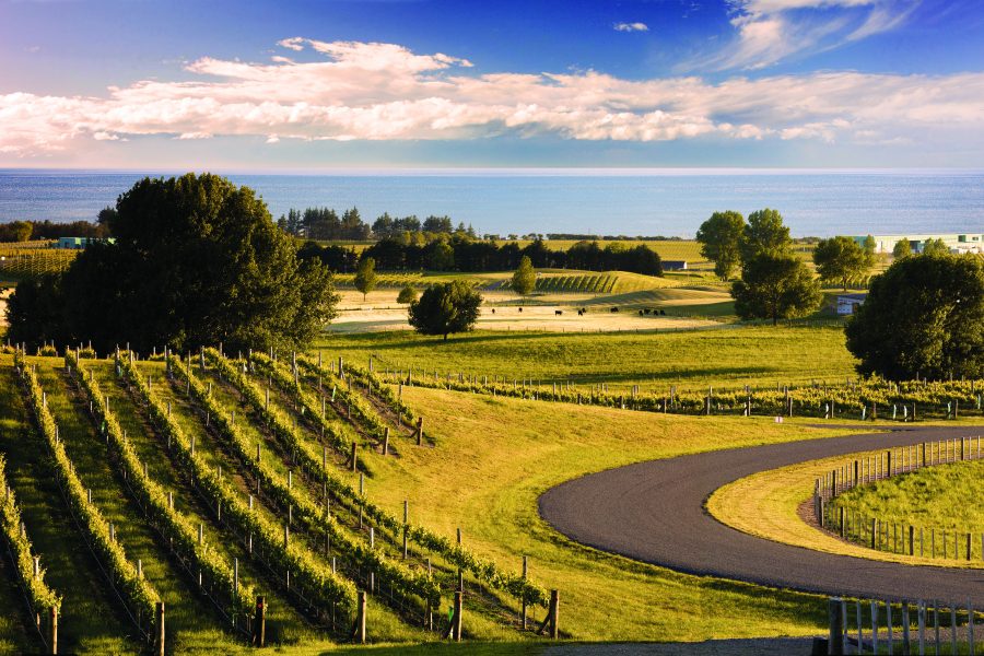 Introduction to Hawke s Bay The Real Review