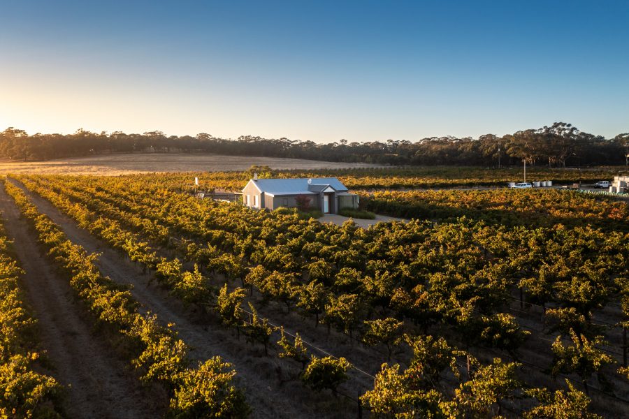 Introduction to the Barossa Valley – The Real Review