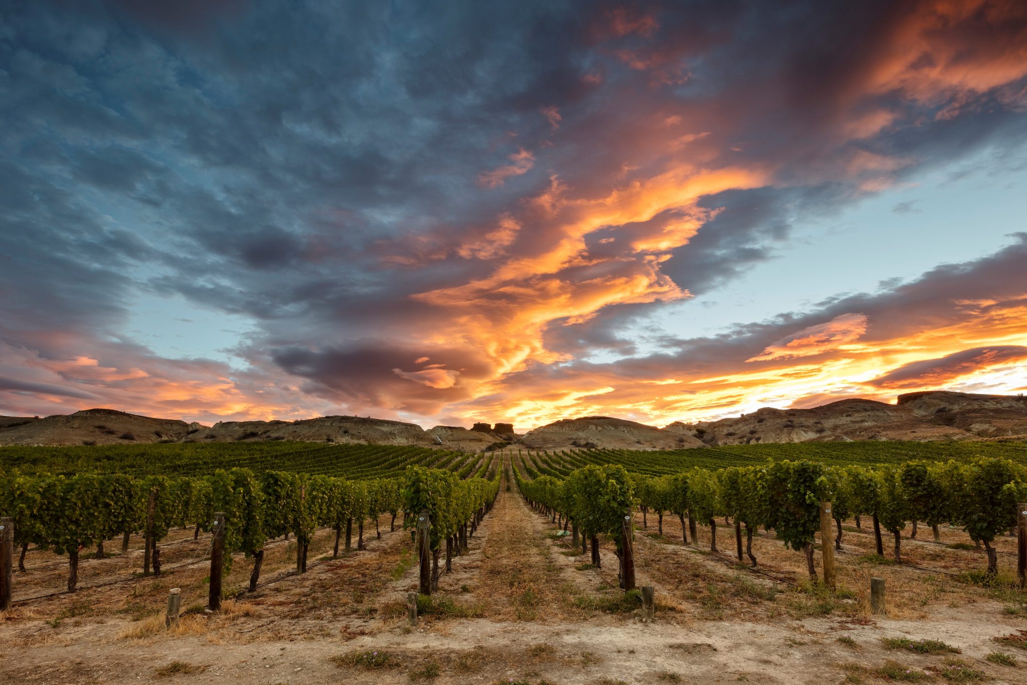 Mt Difficulty’s ghostly wines – The Real Review