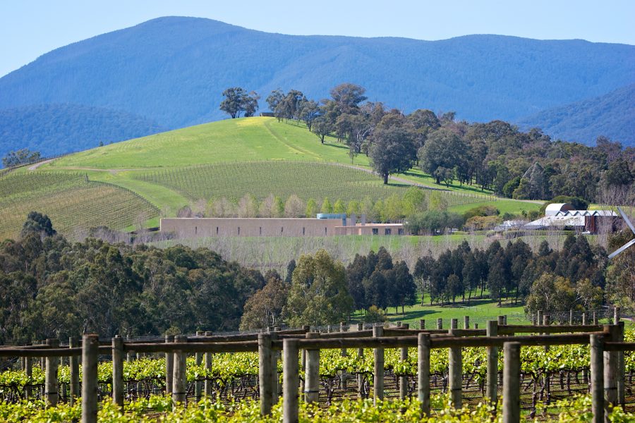 Top Wineries of Australia 2021:19. TarraWarra Estate – The Real Review