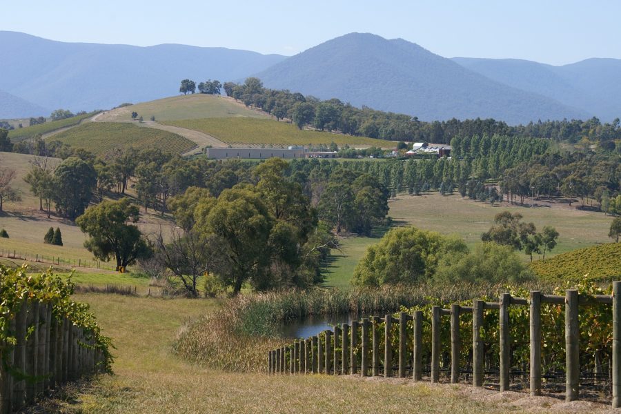 Top Wineries of Australia 2021:19. TarraWarra Estate – The Real Review
