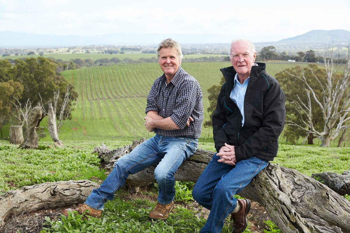 Top Wineries of Australia 2021: 16 to 13 – The Real Review