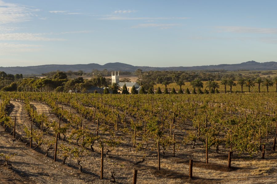 Top Wineries of Australia 2021:12. Torbreck – The Real Review