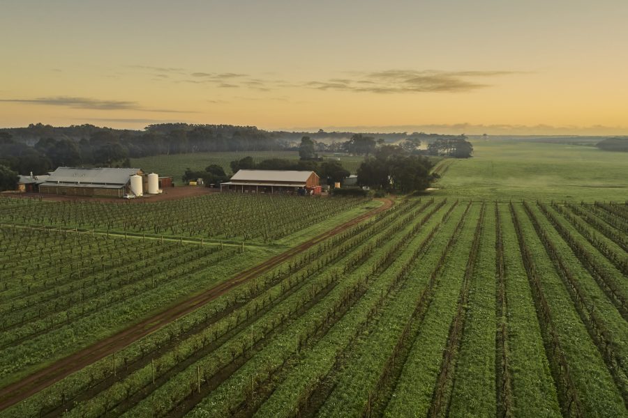 Top Wineries of Australia 2021:4. Cullen Wines – The Real Review