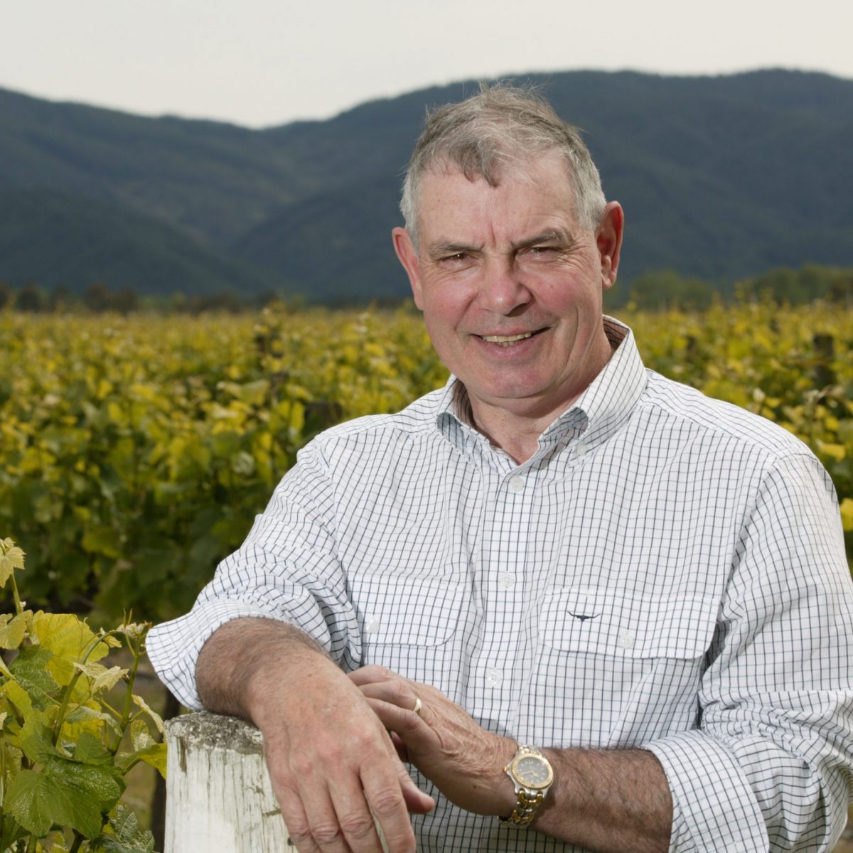 Wine of the Week AU – The Real Review