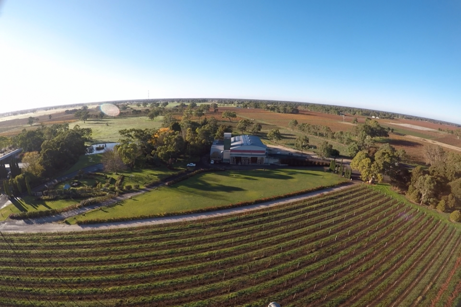 Introduction to Coonawarra – The Real Review