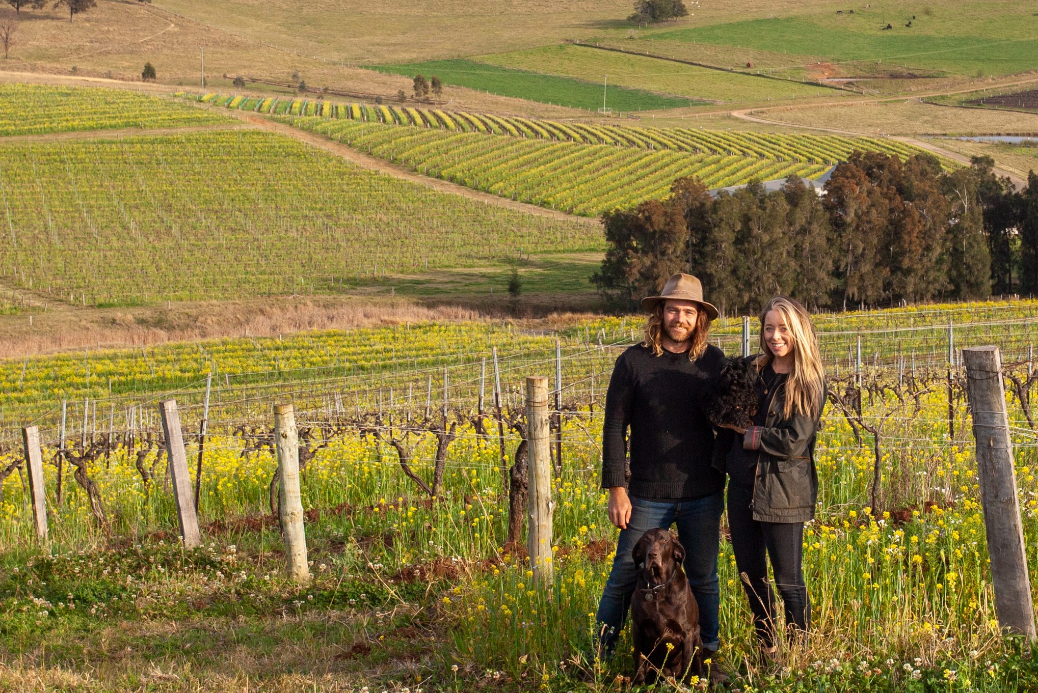 Notable Hunter Valley wineries and vineyards up for sale – The Real Review