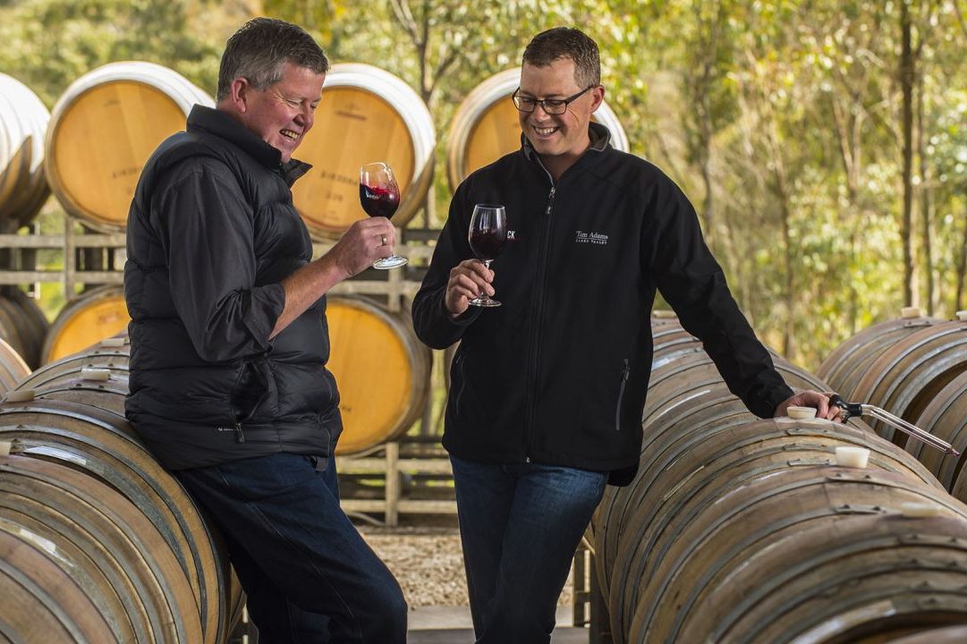 Tim Adams offers Top Value with latest releases – The Real Review