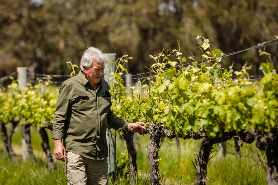 John Frazer of Frazer Woods: sparky to sparkler – The Real Review