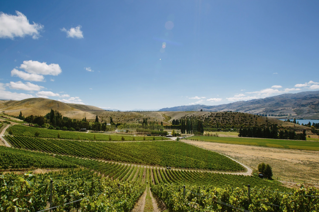 Golden new releases from Burn Cottage – The Real Review