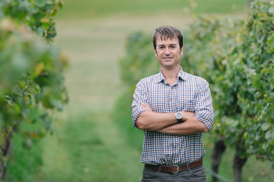 Nick Picone moves to Sacred Hill – The Real Review