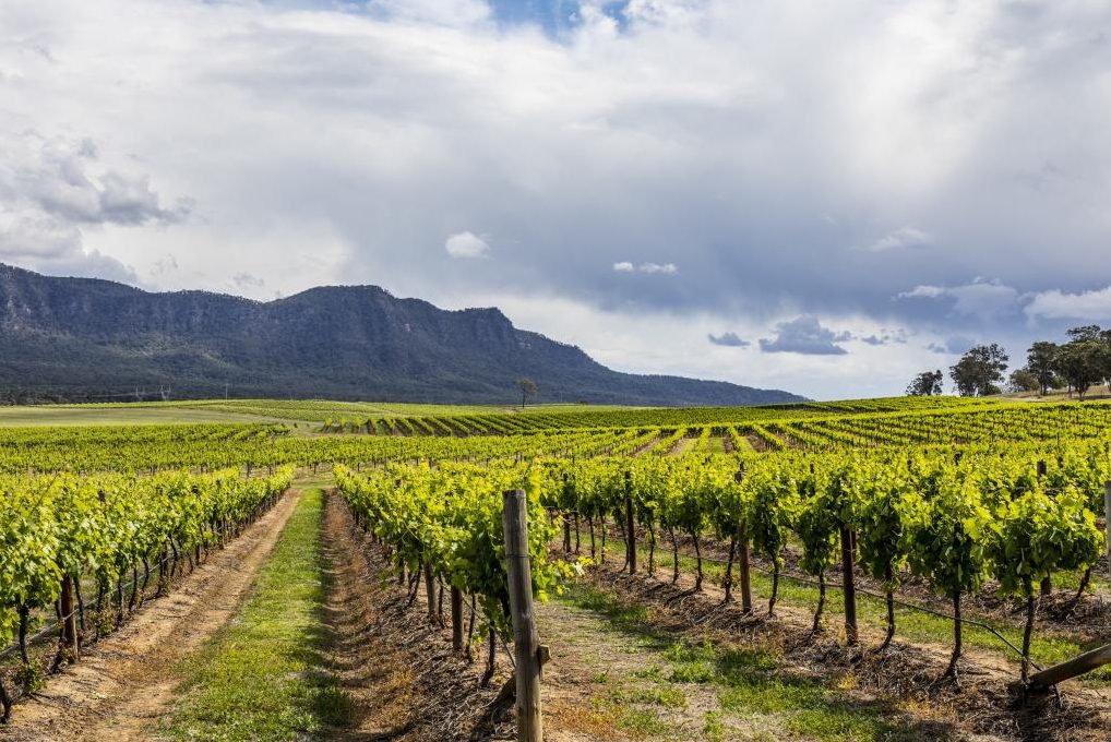 Introduction to the Hunter Valley – The Real Review