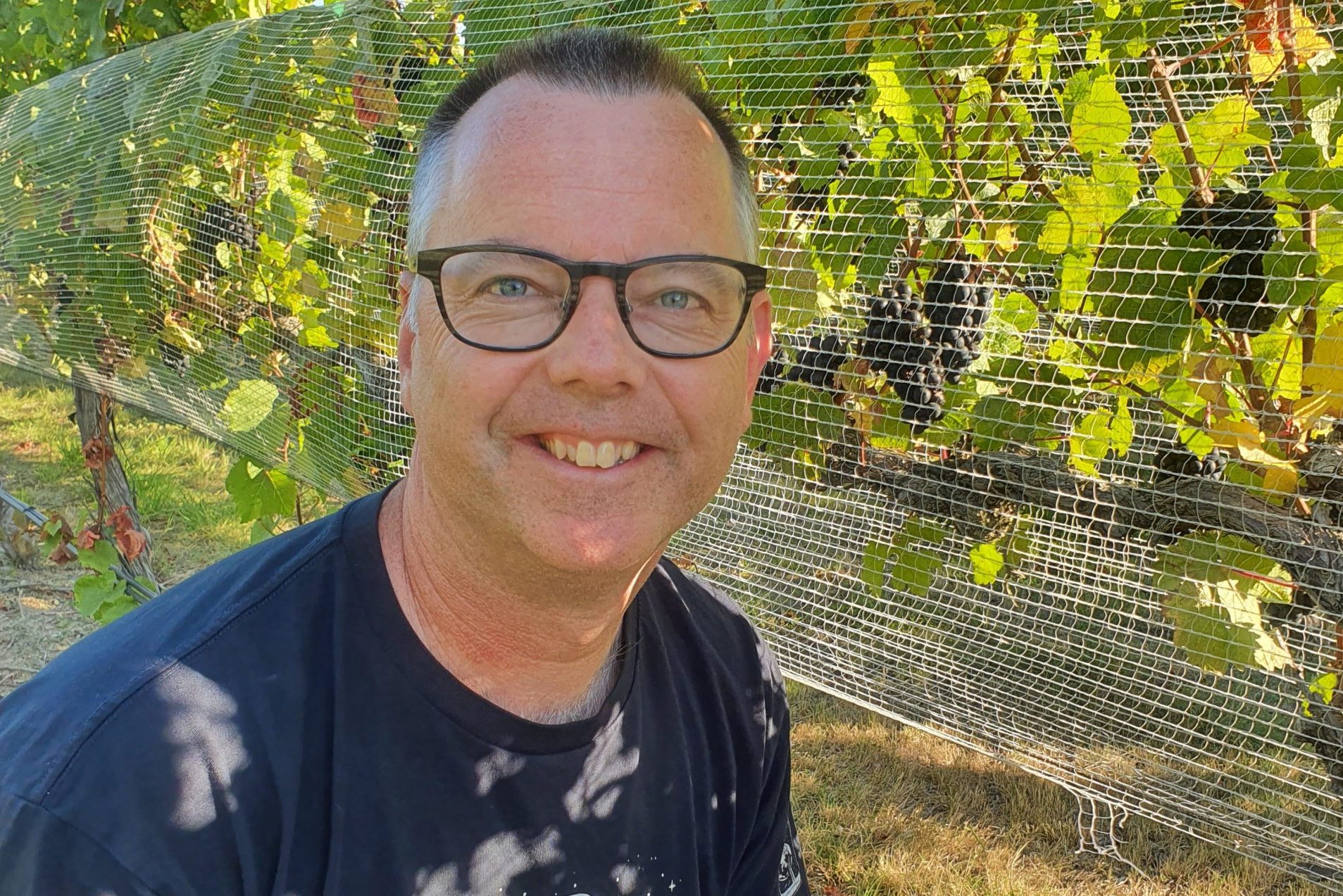 New Zealand International Wine Show 2021 winners announced – The Real ...