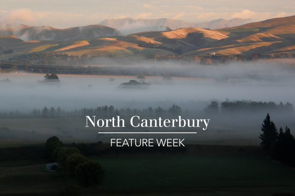 Introduction to North Canterbury – The Real Review