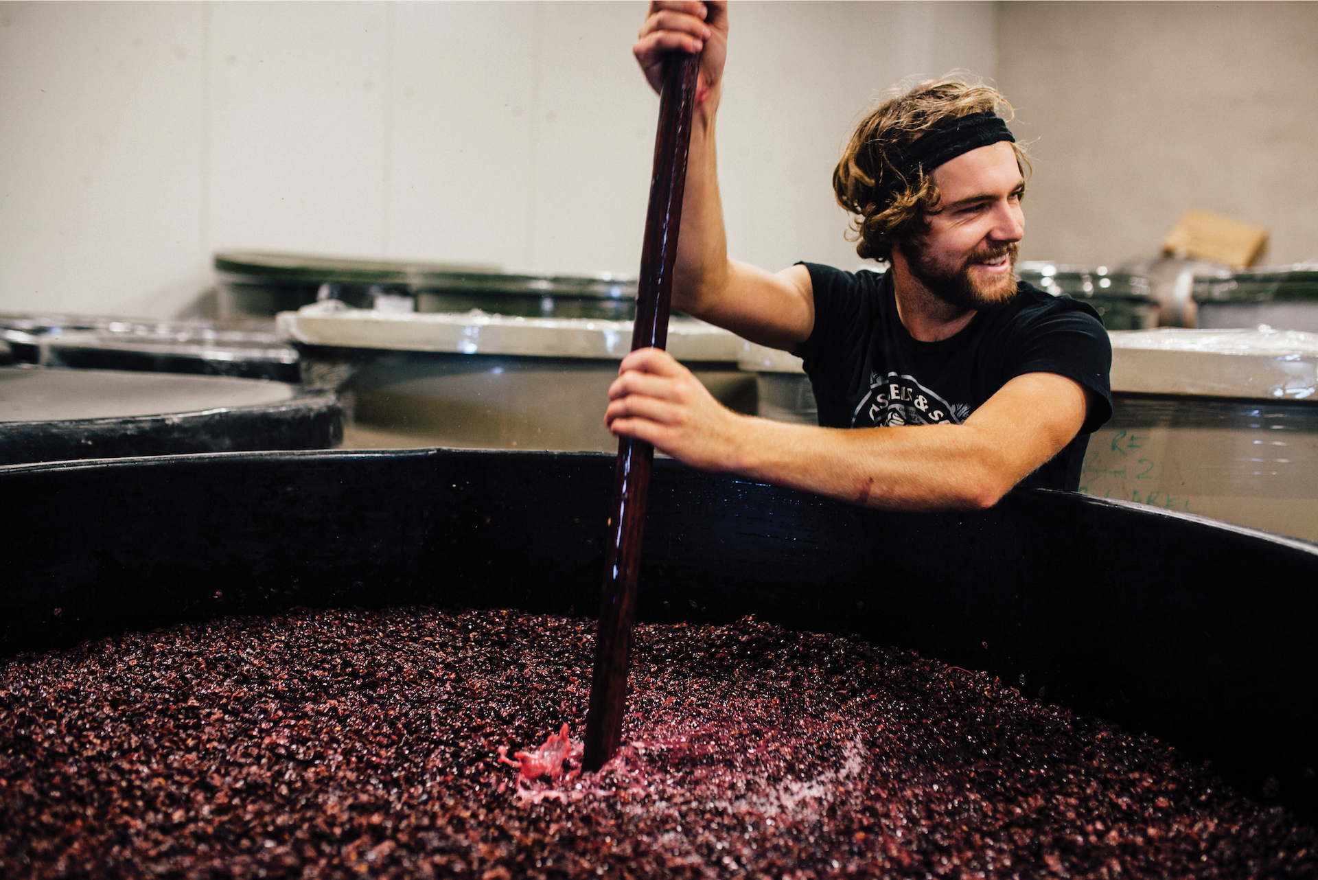 Greystone Wines journey from sheep to chardonnay – The Real Review